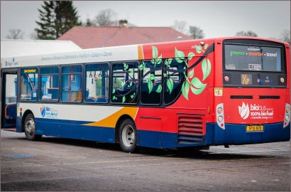 Floating leaves help biofuel buses stand out
